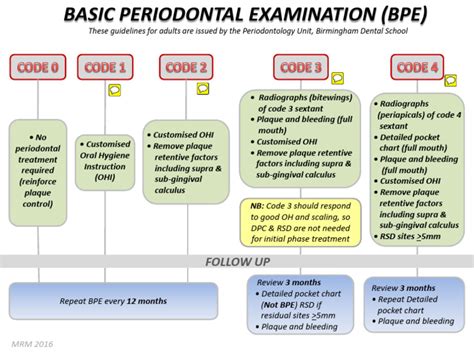 Bpe Flowchart Pdf Periodontology Medical Specialties