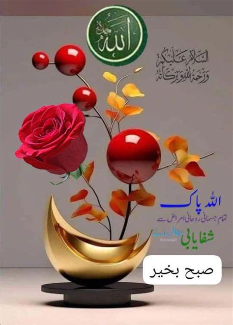 Muhammad Shafiq Posted On Linkedin