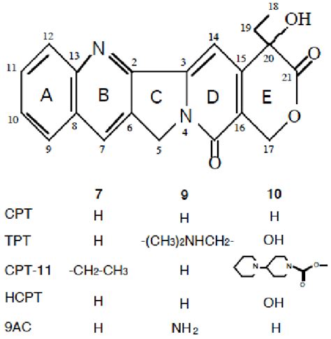 Chemical Structure Of Camptothecin Cpt And Its Main Derivatives As