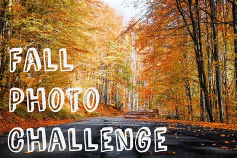 A4 Fall Photo Challenge 2023 Submit Your Best Fall Photo