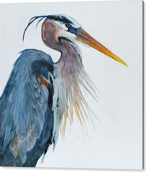 Great Blue Heron Acrylic Print By Jani Freimann Heron Art Watercolor
