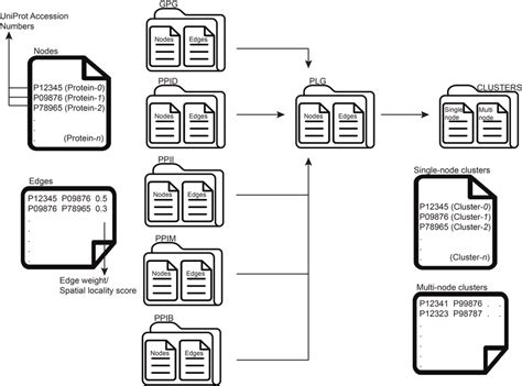 The Structure Of Promodb The Graphs Including Gpg Ppid Ppim Ppii Download Scientific