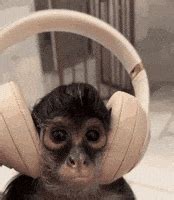 Take Off Headphones S Find And Share On Giphy