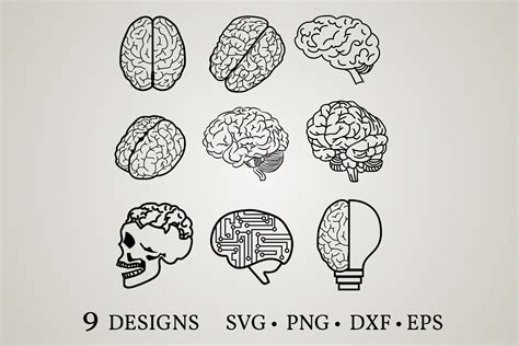 Brain Vector Bundle Graphic By Euphoria Design · Creative Fabrica