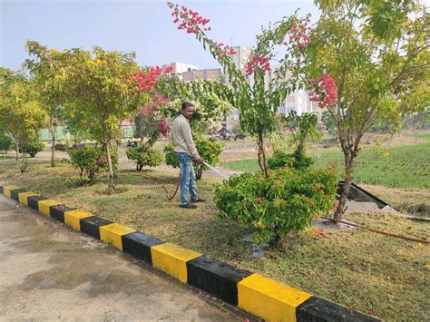 Rahul Mewada Rajput On Linkedin Watering