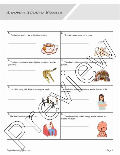 Attributive Adjectives Worksheet Editable Fillable Printable Pdf Englishlearningbypro