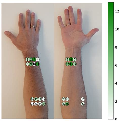 Illustration Of The Sensor Locations And Feature Importance Scores Of Download Scientific