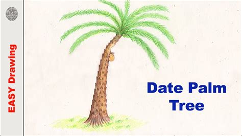 Editable Date Palm Tree With Grass On The Bottom And Simple 56 Off