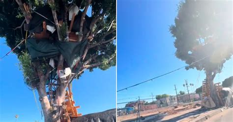 Una Persona Sin Hogar Construyó Una Enorme Casa De Tres Pisos En Un