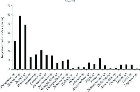 Macrophytes With Mean Importance Value Index Ivi Recorded At