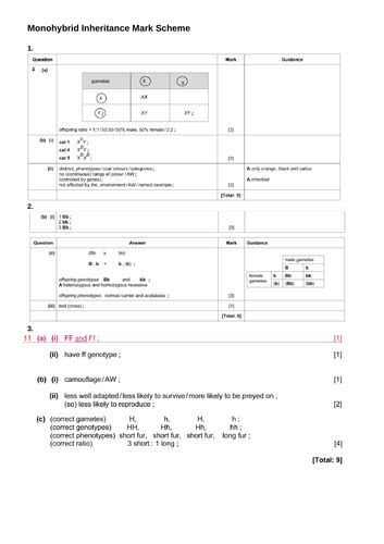 Monohybrid Inheritance Genetic Cross Diagrams Teaching Resources