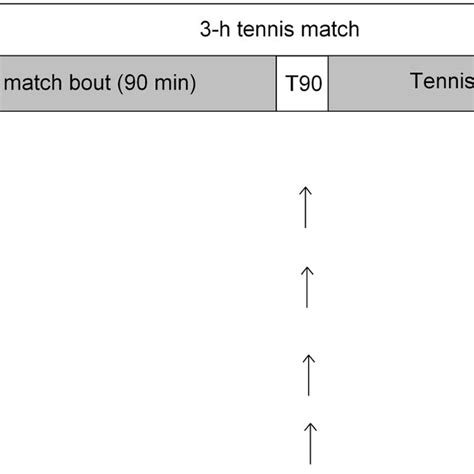 The Definition Of The Kinematic Model For The Calculation Of Shoulder