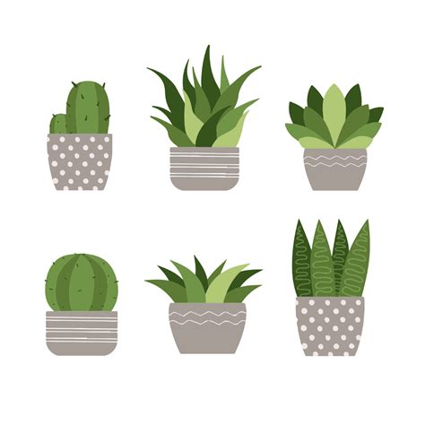 Free Succulent Plant Vector Template To Edit Online