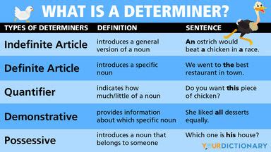 Determination Definition