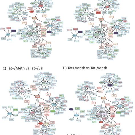 Modeling Of The Interactions Between Predicted Dominant Transcription
