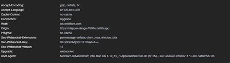 When Trying To Connect Websocket The Client Is Sending Upgrade Header
