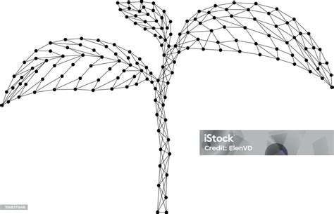 모 종에서 성장 미래 다각형 검은 선과 점 들을 추상화 합니다 벡터 일러스트입니다 농업에 대한 스톡 벡터 아트 및 기타 이미지 농업 초현대적 0명 Istock