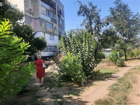 Антон Кравец Сегодня с рабочим визитом Михайловское сельское поселение посетила заместитель