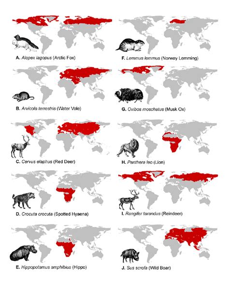 Approximate Modern Geographic Ranges Of The Species Included In This