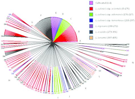 hierarchical clustering of lens accessions based on qualitative