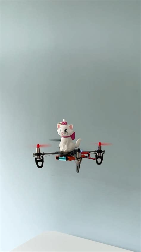 Circuit Digest 🚁 Take Flight With Tech 🌐 Build Your Very Own Diy Wi