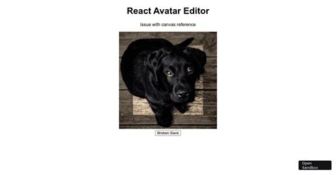 react avatar editor nan issue forked codesandbox
