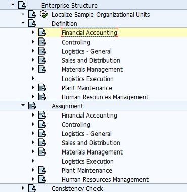 SAP FICO Central Financial Enterprise Structure