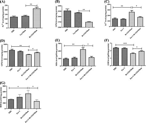 Mycobacterium Tuberculosis Rv1324 Protein Contributes To Mycobacterial