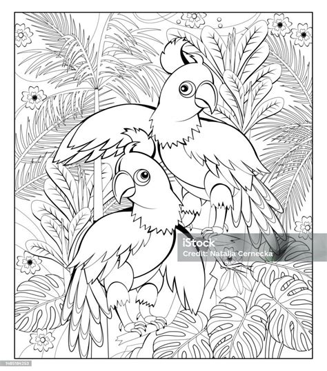 어린이와 성인을 위한 색칠하기 책 열대 정원에 있는 귀여운 앵무새 몇 마리 스타일의 일러스트레이션 그림과 명상을 위한 인쇄 가능한 페이지입니다 흑백 벡터 이미지입니다 컬러링