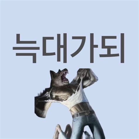 더쿠 늑대가되