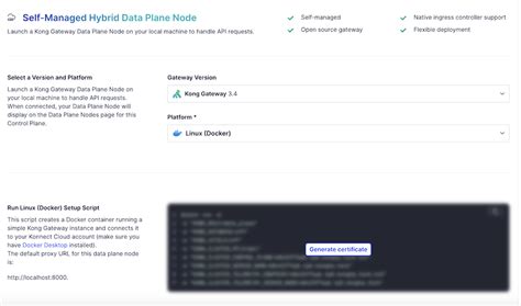 configuring kong konnect for pingone authorize integration pingone