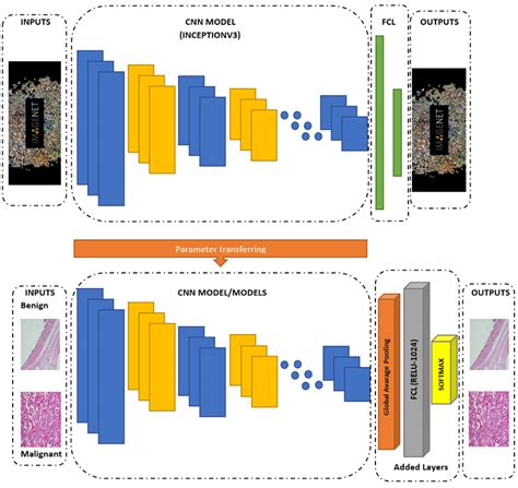 Demonstration Of Pre Trained Inceptionv3 Model Download Scientific