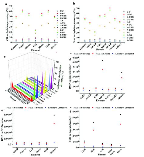 Ectoine Hypomethylated Dna In Skin Cells Global Dna Methylation Download Scientific Diagram