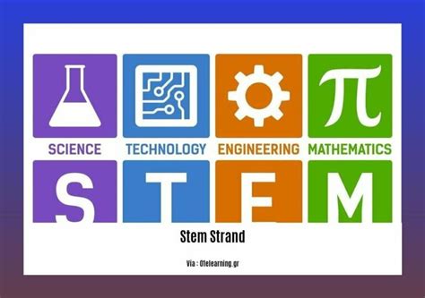 Facts About Stem Strand Exploring The Science Technology Engineering