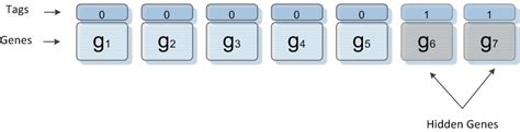 Hidden Genes Genetic Algorithms For Systems Architecture Optimization