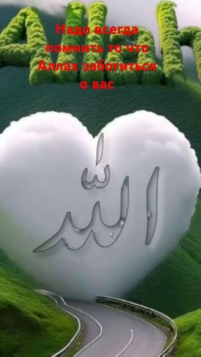 Аллах всегда видит что вы делаете 🤲 Youtube