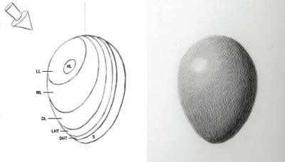 Shading Drawings For Beginners Paint Still Life Like A Pro