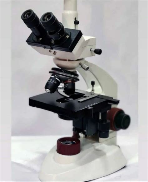 Trinocular Research Microscope At Best Price In North 24 Parganas By Microbe Id 2851534594855