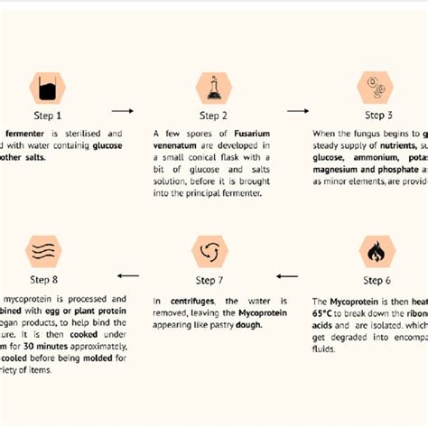 The Manufacturing Process Of Quorn Download Scientific Diagram
