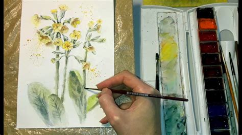 Як малювати весняні квіти аквареллю Малюємо прімулу акварельна іллюстрація Watercolor