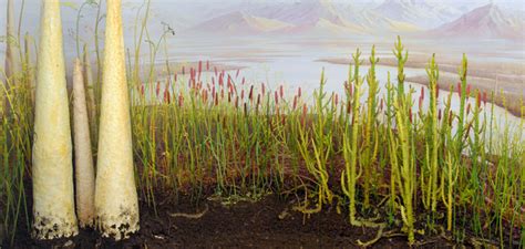 Silurian Period Flora