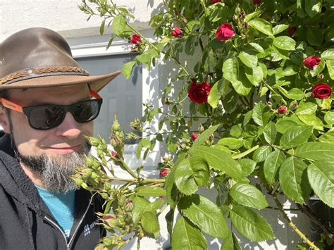 Josef Holzmayr On Linkedin Connecteddevices Techcommunity Developers Security