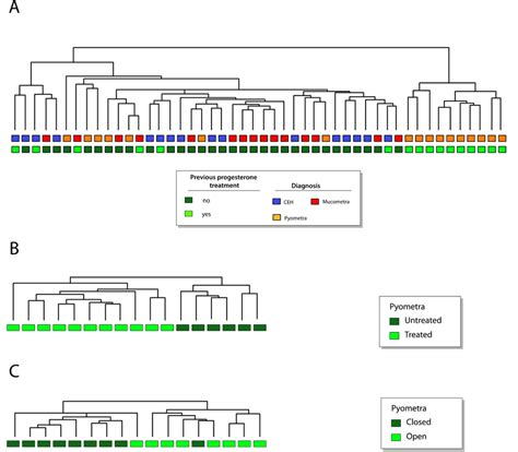 Supervised Hierarchical Clustering Analysis Of Global Gene Expression