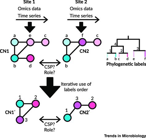 Iterative Aggregation Of Nodes In Co Occurrence Networks For Constraint Download Scientific