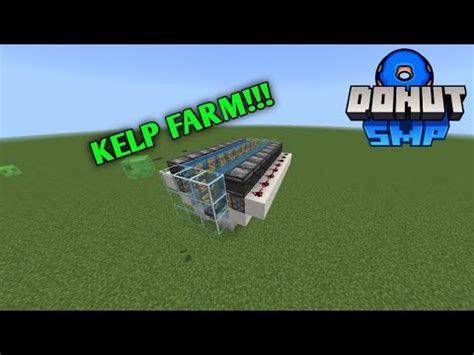 How To Make Kelp Farm For Donut Smp Youtube