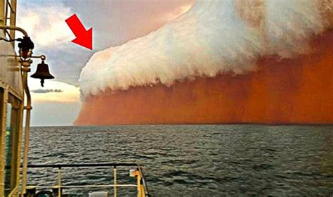 დაუჯერებელი მაგრამ რეალისტური ფოტოები