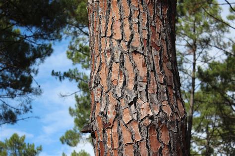 La Jenny Village Chalet Atlantic La Jenny