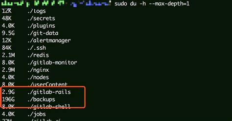 Docker Delete Gitlab Backups File Stack Overflow