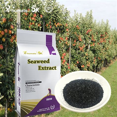 X Humate Seaweed Extrtract Solid Fertilizer Agriculture Seaweed