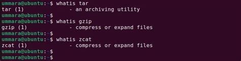 Which Vs Whereis Vs Whatis In Linux What Are The Differences